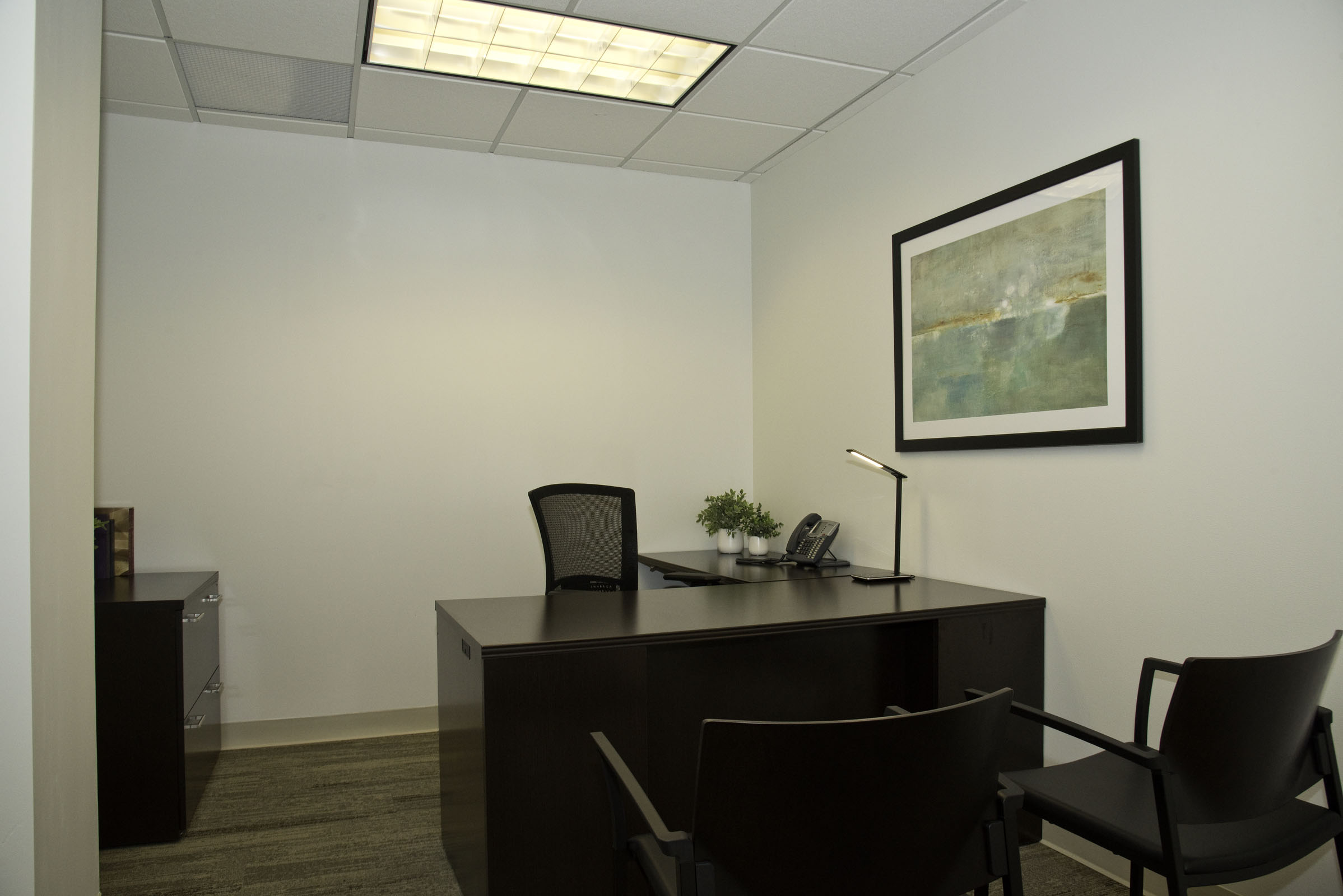Radnor Office Space - American Executive Centers